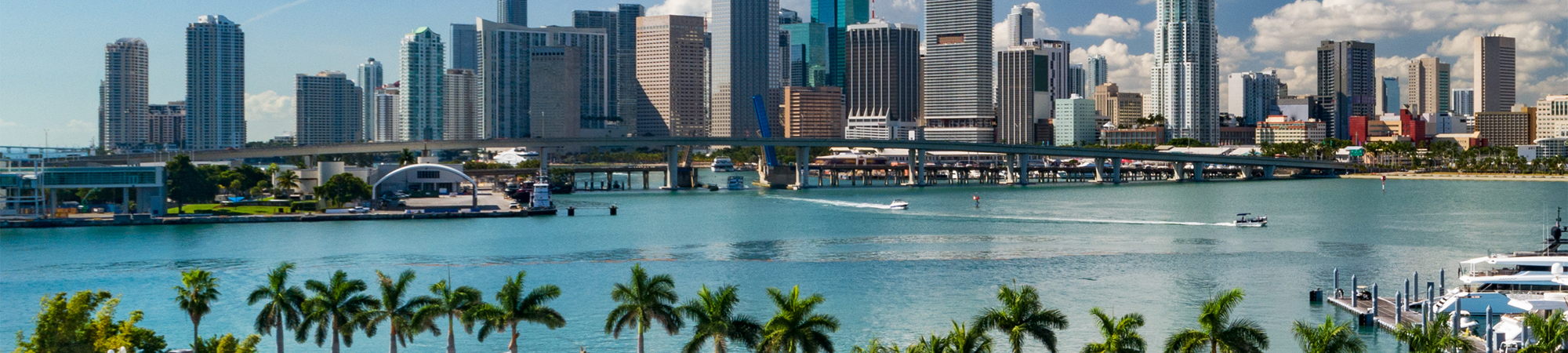 Plastic Surgery in South Miami | Miami Plastic Surgery